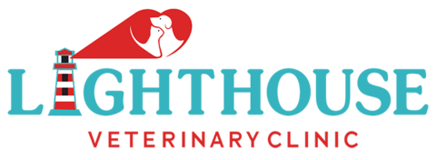 Veterinarian In Sugarland, TX 77479 | Lighthouse Vet Clinic