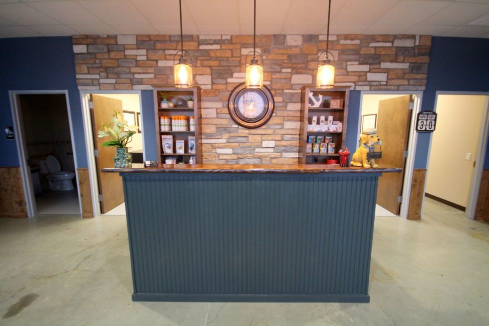 Best Veterinary Clinic In Sugar Land, TX | Lighthouse