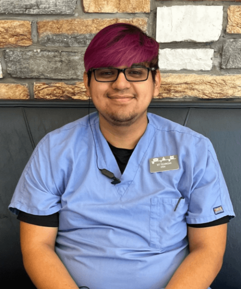 Veterinarian In Sugarland, TX 77479 | Lighthouse Vet Clinic