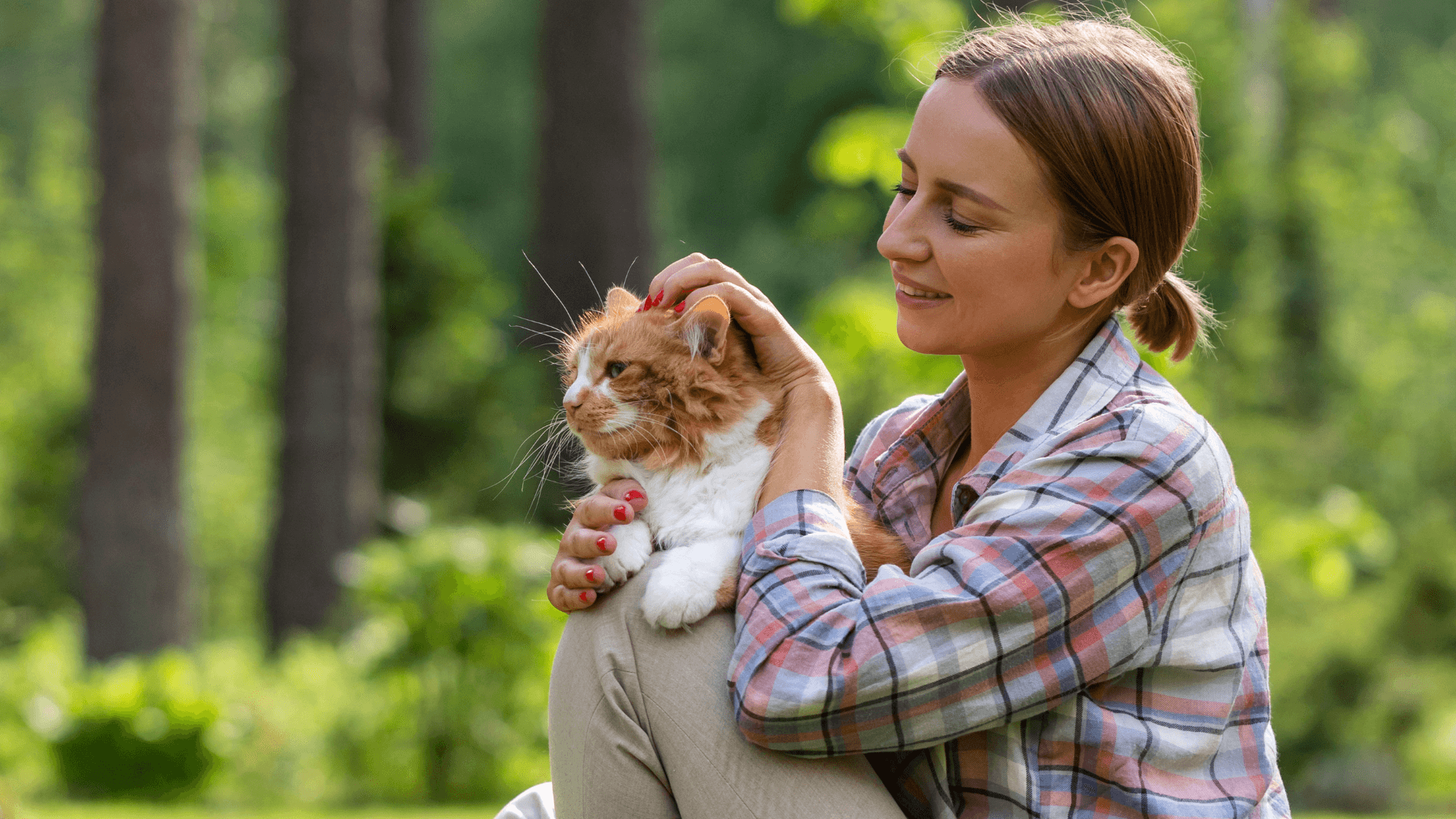 The Lighthouse Veterinary Clinic FAQs